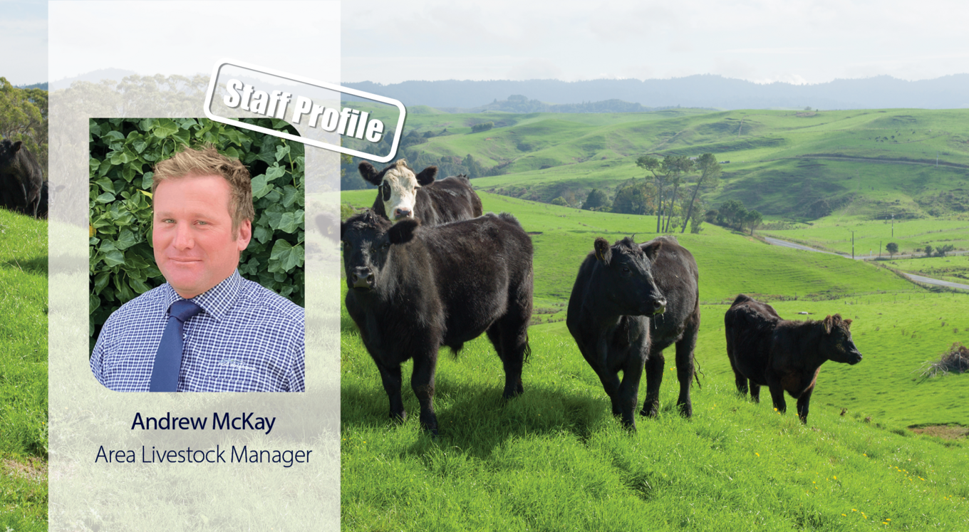 Staff Profile - Andrew McKay | PGG Wrightson